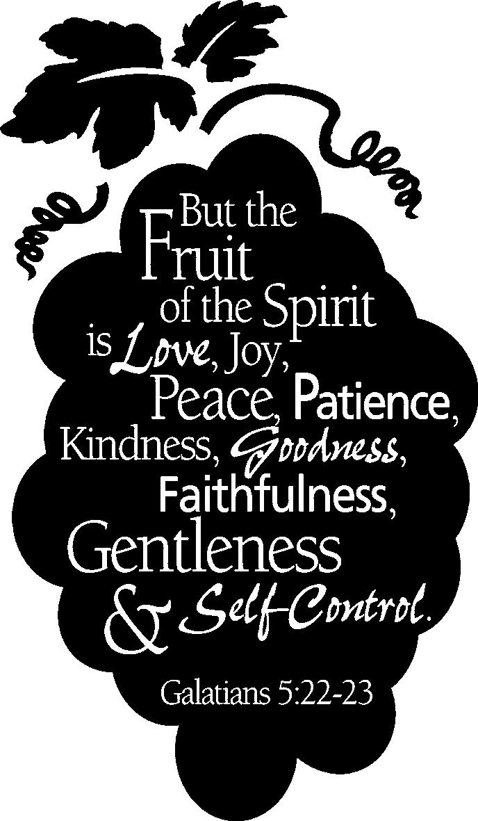 Choose to Be Gentle | Barbara's Banter
